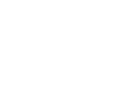 Gun Lock | IDENTILOCK® - The Trigger Gun Lock
